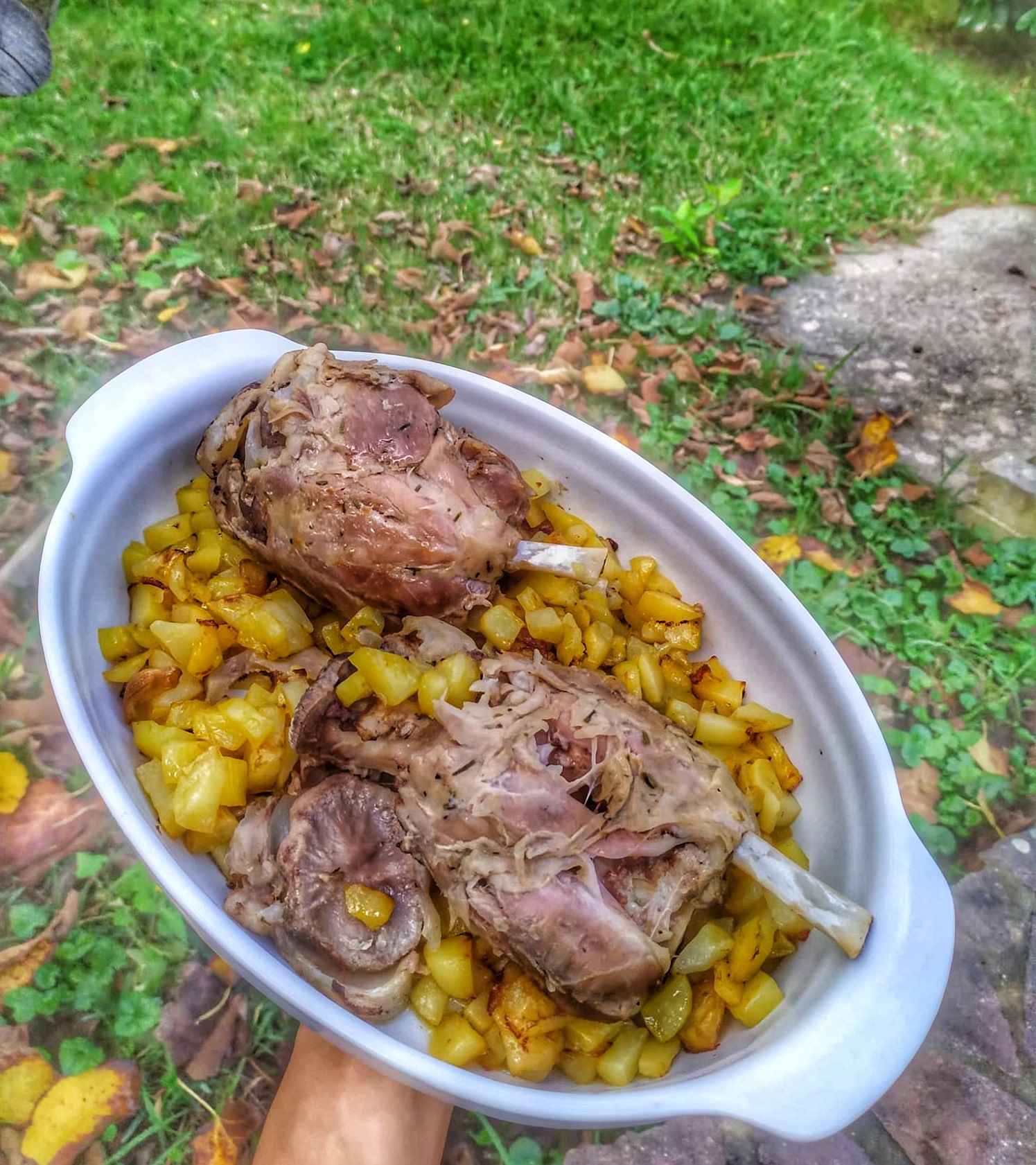 Stinco di Maiale con Patate al Forno - Piatti Tipici
